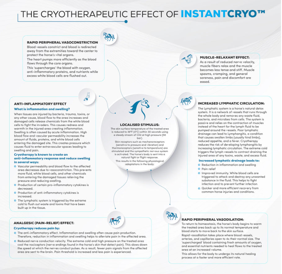 What is Equine Cryotherapy? | Preserving The Athlete